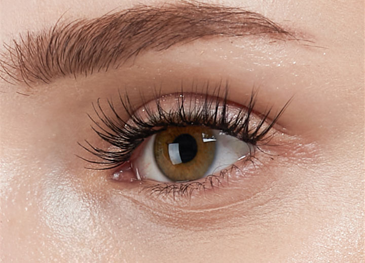 ovo lash – OVO LASH